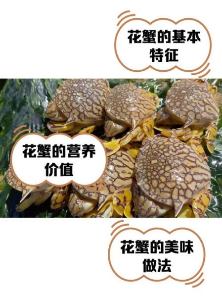花蟹怎么处理干净_花蟹清洗步骤-第1张图片-山城妙识