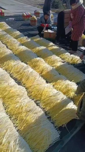 韭黄多少钱一斤_韭黄价格为什么波动大-第2张图片-山城妙识