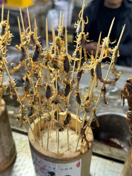 蝎子吃什么食物_家养蝎子喂什么-第2张图片-山城妙识