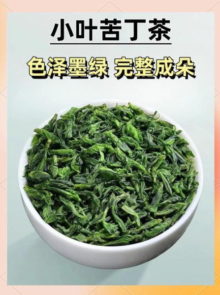 苦丁茶有几种_苦丁茶图片大全-第1张图片-山城妙识