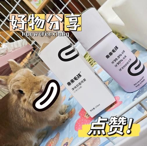 兔子怎么养不臭_兔子除臭最有效的方法-第1张图片-山城妙识