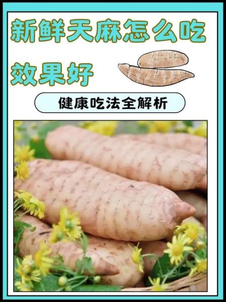 新鲜天麻怎么吃最好_新鲜天麻的五种吃法-第1张图片-山城妙识