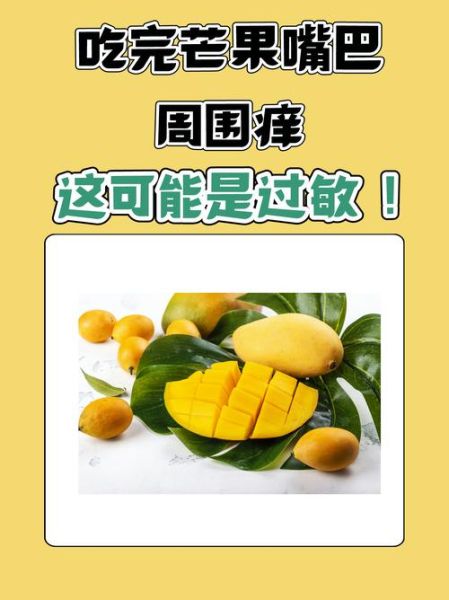 芒果过敏症状有哪些_吃了芒果多久会起反应-第1张图片-山城妙识