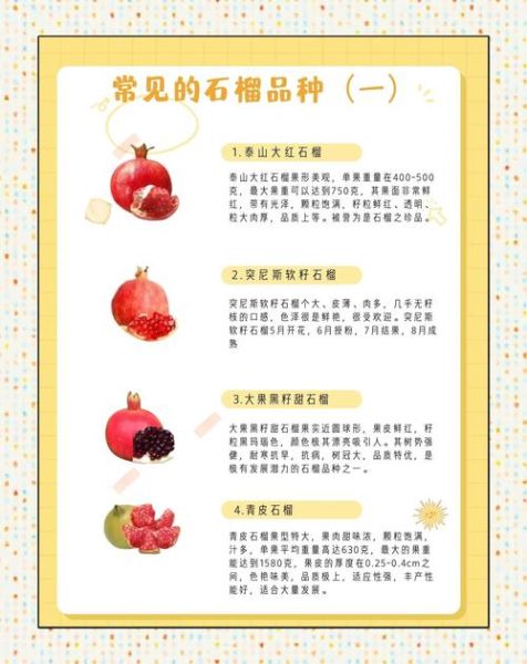 女性吃石榴有什么好处_石榴对女性的功效与作用-第1张图片-山城妙识