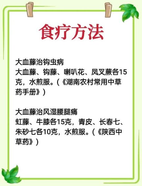 大血藤的功效与作用及禁忌_大血藤能长期泡水喝吗-第1张图片-山城妙识