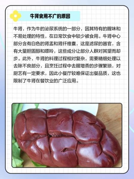牛肾为什么没人吃_牛肾能吃吗-第1张图片-山城妙识