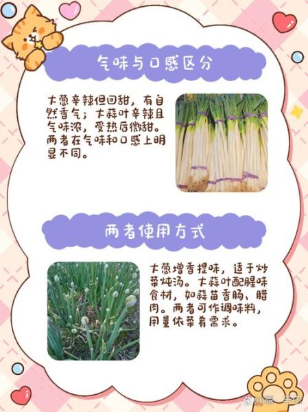 葱蒜图片怎么区分_葱蒜图片拍摄技巧-第1张图片-山城妙识