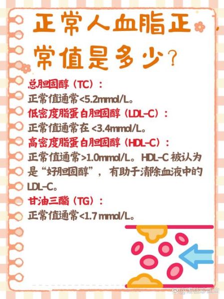 50岁甘油三酯正常值是多少_甘油三酯高怎么办-第2张图片-山城妙识