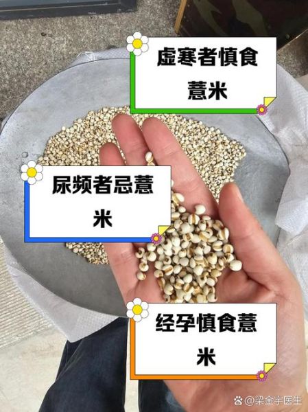 男人为什么不能吃薏米_薏米对男性有什么危害-第3张图片-山城妙识