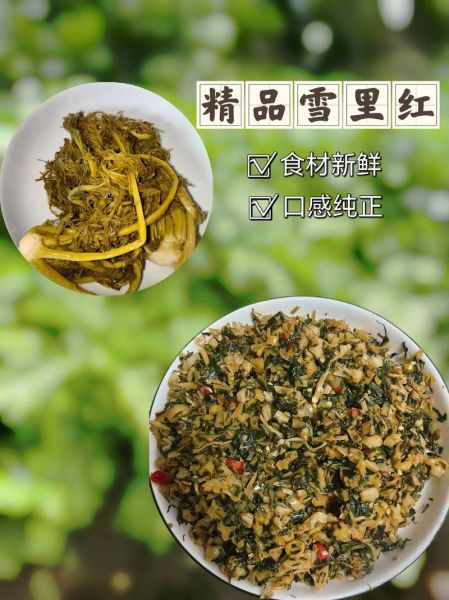 雪里红是什么季节的菜_雪里红几月份上市-第3张图片-山城妙识