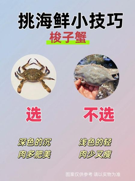常吃的海鲜有哪些种类_如何挑选新鲜海鲜-第3张图片-山城妙识