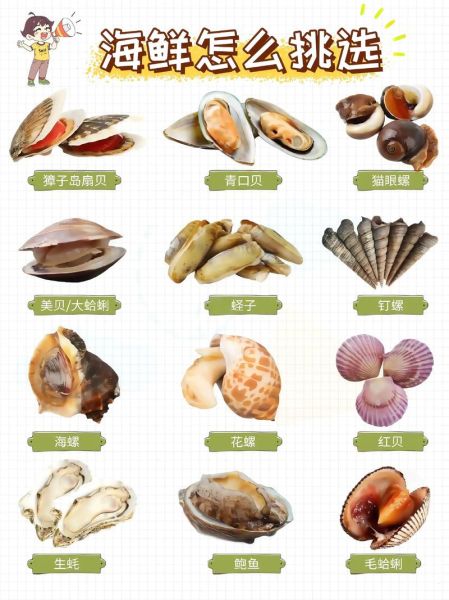 常吃的海鲜有哪些种类_如何挑选新鲜海鲜-第2张图片-山城妙识
