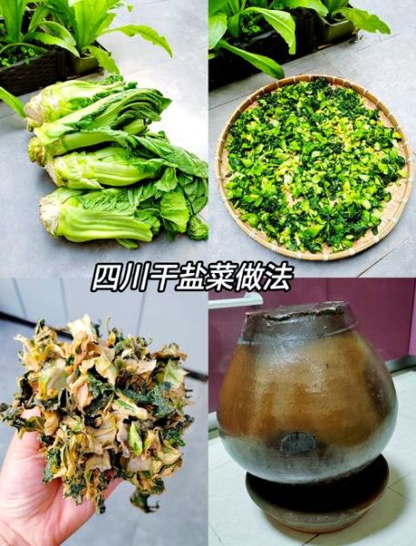 咸菜怎么腌制_家常咸菜的腌制方法-第1张图片-山城妙识