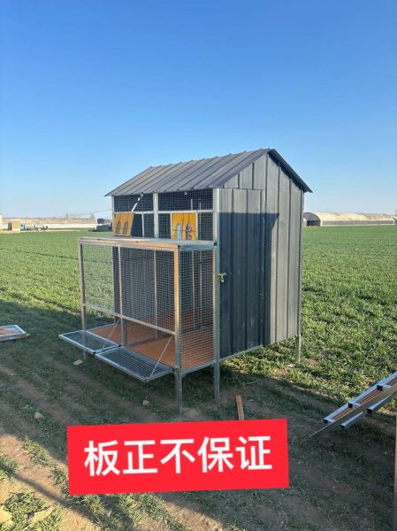 穷人养20只鸽子棚图_低成本搭建方法-第3张图片-山城妙识