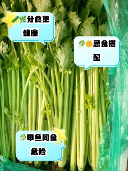 芹菜不能和什么一起吃_芹菜食物相克表大全-第3张图片-山城妙识