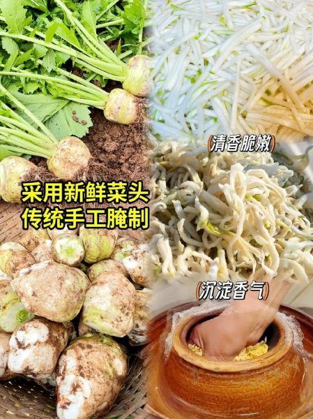 炒大头菜丝怎么炒好吃_大头菜丝家常做法大全-第1张图片-山城妙识