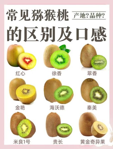 猕猴桃怎么挑选_猕猴桃的功效与作用-第1张图片-山城妙识