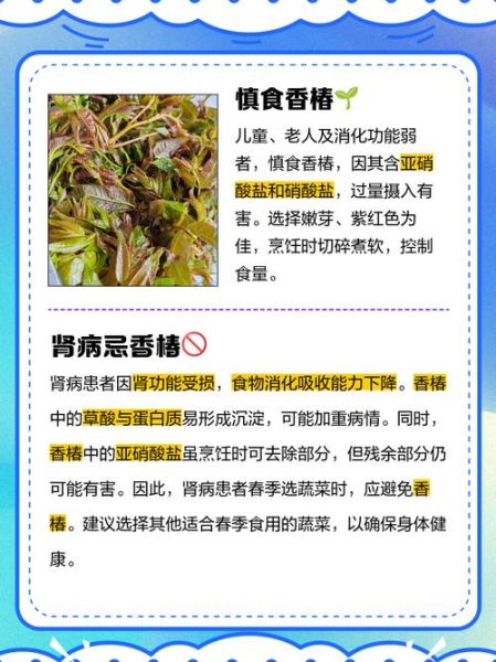 春芽的功效与作用_春芽的禁忌有哪些-第2张图片-山城妙识