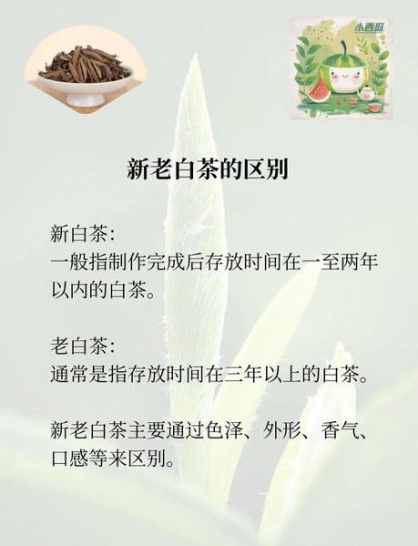 老白茶属于什么茶_老白茶与普洱区别-第1张图片-山城妙识