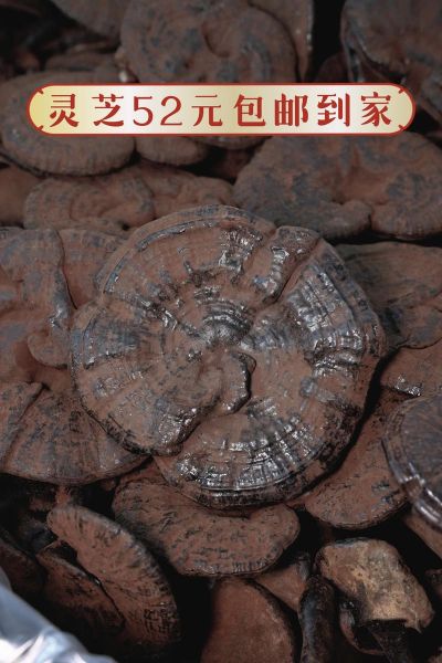 野生灵芝多少钱一斤_野生灵芝价格为什么差距大-第1张图片-山城妙识