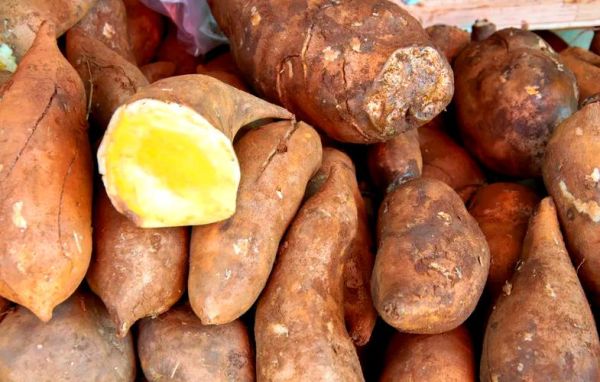 雪莲果糖尿病人能吃吗_雪莲果升糖指数高吗-第2张图片-山城妙识