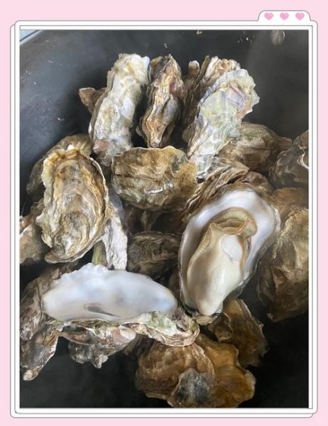 海蛎子怎么煮_水煮海蛎子几分钟能熟-第1张图片-山城妙识