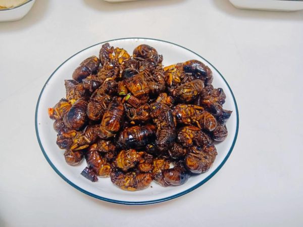 蝉蛹怎么处理可以食用_蝉蛹怎么做好吃-第3张图片-山城妙识 蝉蛹怎么处理可以食用_蝉蛹怎么做好吃-第3张图片-山城妙识