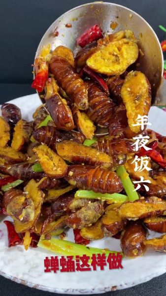 蝉蛹怎么处理可以食用_蝉蛹怎么做好吃-第2张图片-山城妙识 蝉蛹怎么处理可以食用_蝉蛹怎么做好吃-第2张图片-山城妙识