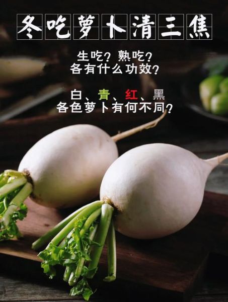 红皮萝卜和白萝卜的区别_哪个营养价值更高-第1张图片-山城妙识
