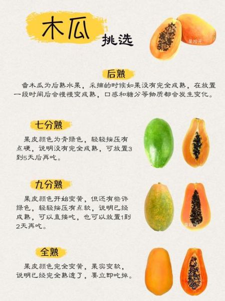 木瓜是热性还是凉性_木瓜寒性还是温性-第3张图片-山城妙识