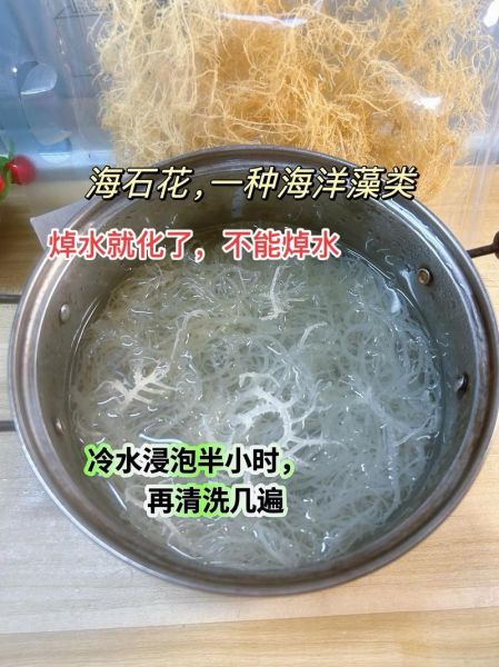 海石花和石花菜的区别_哪个更好吃-第1张图片-山城妙识