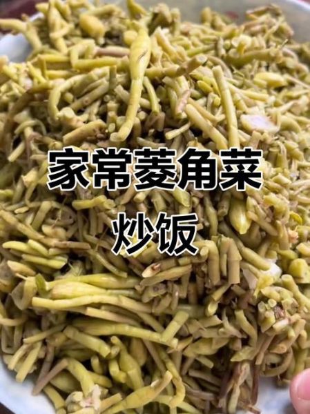 菱角菜是什么_菱角菜怎么吃-第3张图片-山城妙识
