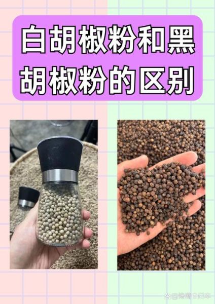 白胡椒和胡椒的区别_白胡椒怎么保存-第3张图片-山城妙识