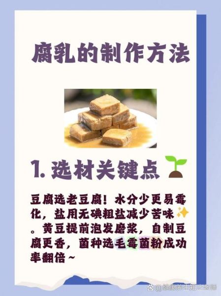 自制豆腐乳怎么发酵_豆腐乳发酵温度是多少-第2张图片-山城妙识