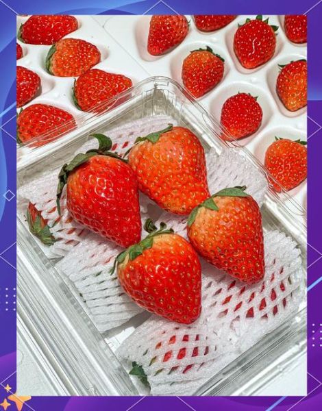 牛奶草莓和红颜草莓的区别_哪个更甜-第2张图片-山城妙识