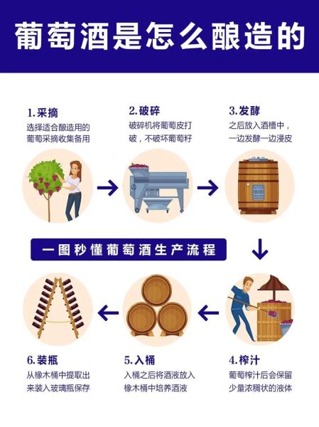 怎样泡葡萄酒_自制葡萄酒的正确步骤-第1张图片-山城妙识
