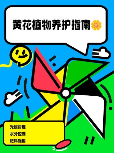 小黄花怎么养_小黄花为什么不开花-第2张图片-山城妙识