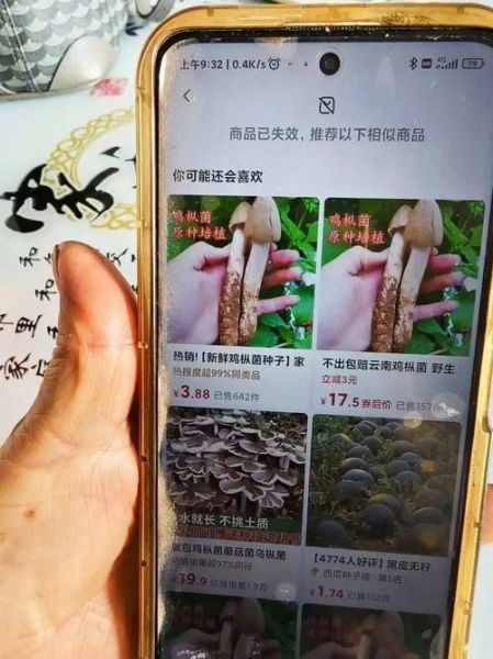 鸡枞菌种子多少钱一包_鸡枞菌种子购买渠道-第3张图片-山城妙识