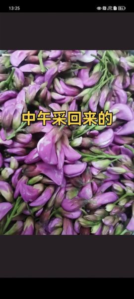紫色槐花怎么吃_紫色槐花最佳吃法-第1张图片-山城妙识