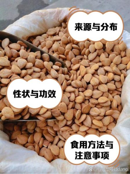 南杏仁和北杏仁的区别_哪个更适合日常食用-第3张图片-山城妙识