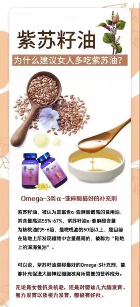 紫苏油禁忌人群_哪些人不能吃紫苏油-第3张图片-山城妙识