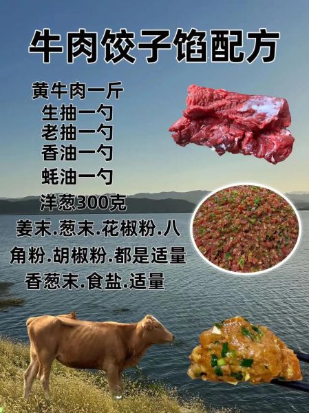 牛肉饺子馅怎么调才好吃_牛肉饺子馅放什么调料最香-第1张图片-山城妙识