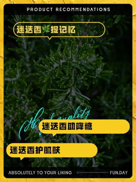 迷迭香茶怎么制作_迷迭香茶的功效与作用-第2张图片-山城妙识