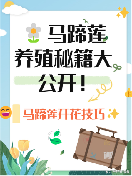 马蹄莲怎么养_马蹄莲养殖方法和注意事项-第2张图片-山城妙识