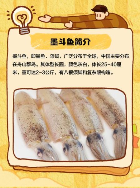 墨斗鱼怎么处理干净_墨斗鱼清洗步骤-第2张图片-山城妙识