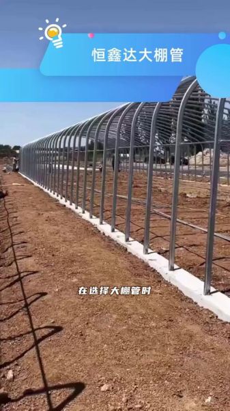 蔬菜大棚一亩投资多少钱_蔬菜大棚怎么建最省钱-第2张图片-山城妙识