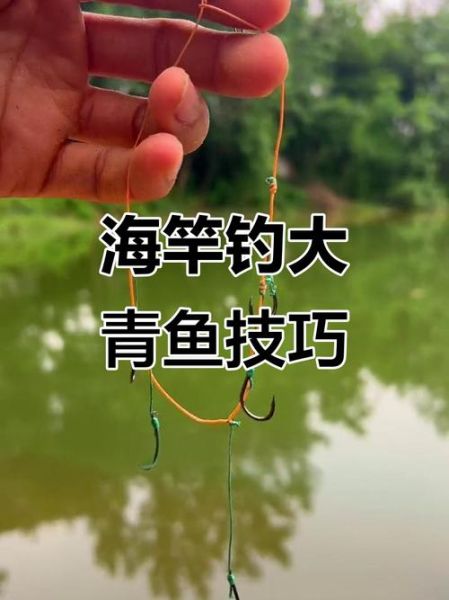 大青鱼怎么钓_大青鱼钓法技巧-第1张图片-山城妙识 大青鱼怎么钓_大青鱼钓法技巧-第1张图片-山城妙识