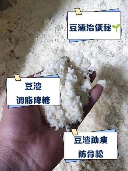 豆渣怎么做好吃_豆渣有哪些营养价值-第1张图片-山城妙识