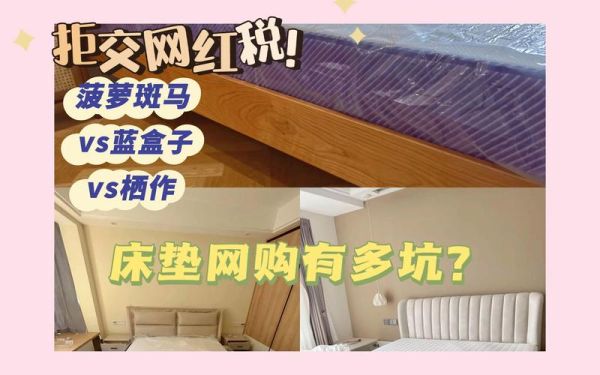 菠萝斑马和蓝盒子哪个好_区别在哪-第2张图片-山城妙识 菠萝斑马和蓝盒子哪个好_区别在哪-第2张图片-山城妙识