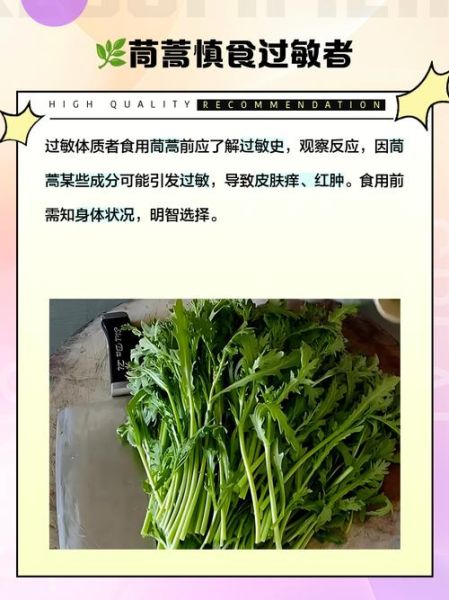 茼蒿生吃有什么危害_茼蒿生吃会中毒吗-第2张图片-山城妙识 茼蒿生吃有什么危害_茼蒿生吃会中毒吗-第2张图片-山城妙识